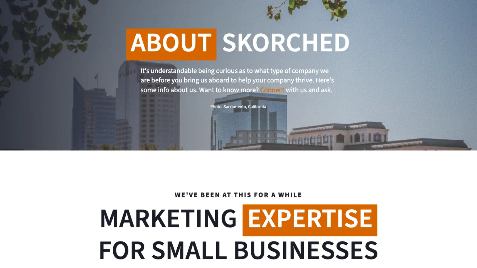 About Skorched Small Business Marketing